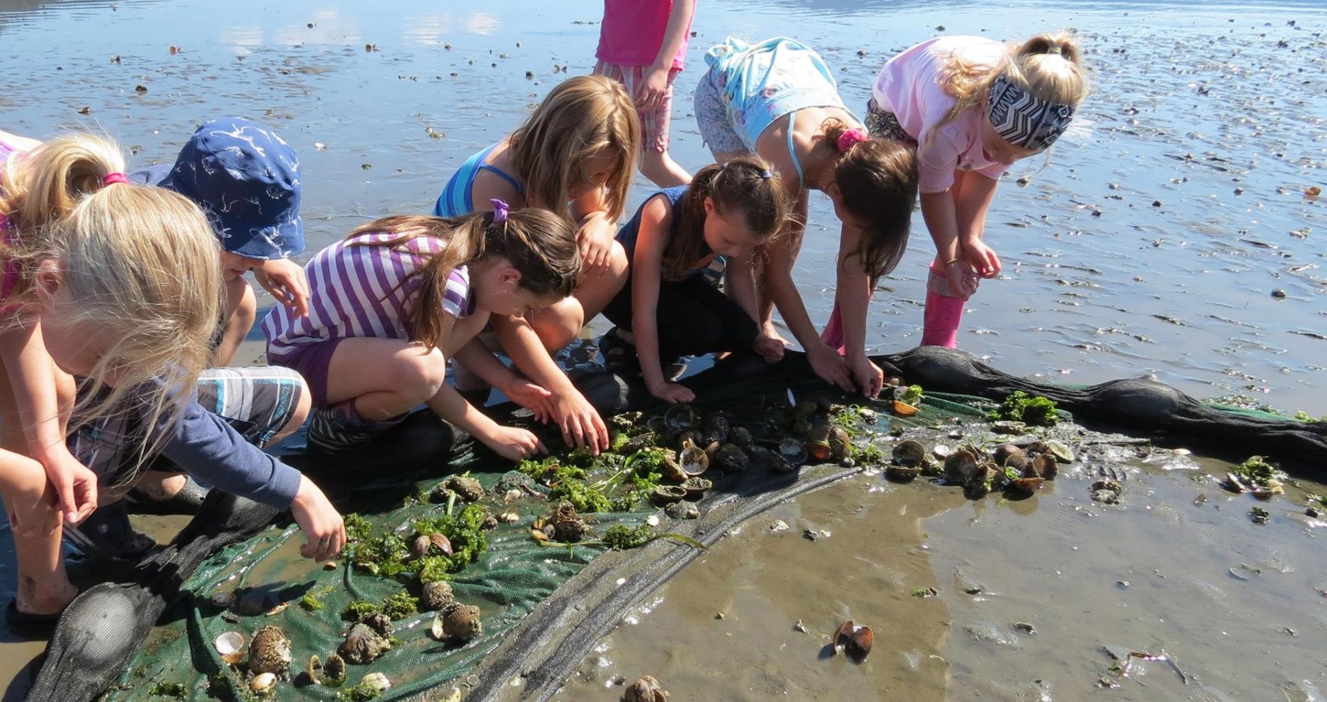 2024 Summer Nature & Science Camp leader positions – apply now ...